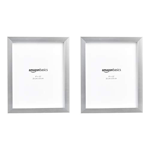 Amazon Basics Rectangular Photo Picture Frame, 8" x 10", Pack of 2, Nickel