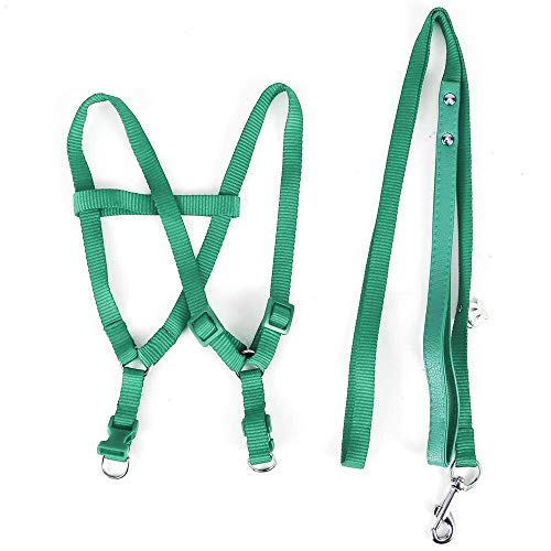 ASOCEA Adjustable Bird Harness and Leash for Yellow Naped Amazons Galah Cockatoos Small to Medium Breed Parrots Fits Birds Chest Between26-40cm /10.24-15.75inch - S