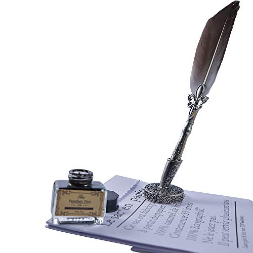 AIVN Calligraphy Pen - Antique Feather Quill with 17 nibs - Writing Case with Black Ink