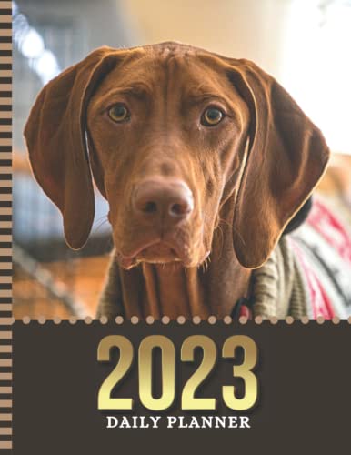 2023 Daily Planner: 8.5x11 Large Dated - One Page Per Day Diary / With Notes Section - To Do List - Hourly Time Slots - Schedule - Calendar / New ... Gift / Red Brown Vizla - Dog Art Photo