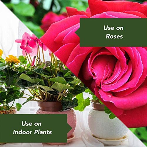 BioAdvanced Plant Food Insect Control Spikes, 10 Spikes