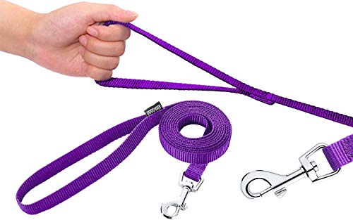 AMAGOOD 6 FT Puppy/Dog Leash, Strong and Durable Traditional Style Leash with Easy to Use Collar Hook,Dog Lead Great for Small and Medium and Large (Purple,5/8" x 6 Feet)
