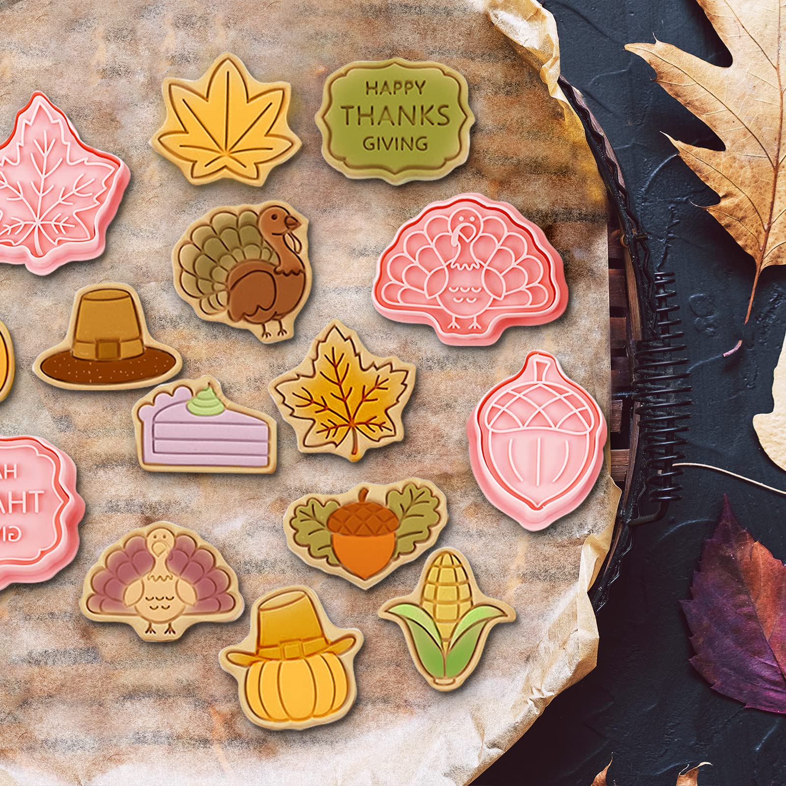 16 Pieces Fall Thanksgiving Cookie Cutters with Plunger Stamps Set Fall Biscuit Mold Maple Leaf Turkey Pumpkin 3D Cookie Stamper Plastic DIY Cookie Tools for Thanksgiving Day Baking Fondant Supplies