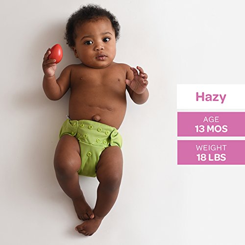 Blueberry One Size Simplex All in One Cloth Diapers, Made in USA (Picnic)