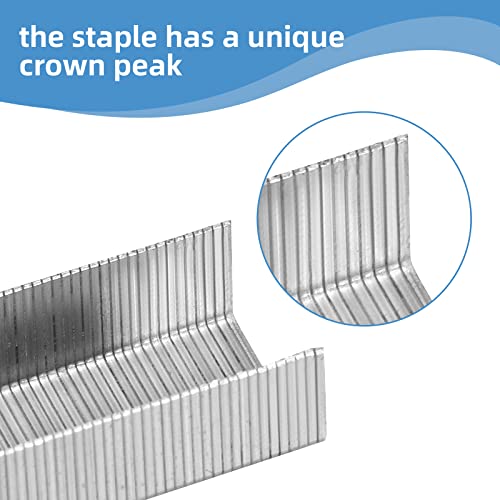 30000 Pieces B8 Crown Staples Standard Staples Heavy Duty Staples 1/4 Inch Leg Length for B8 Staplers Home School Office