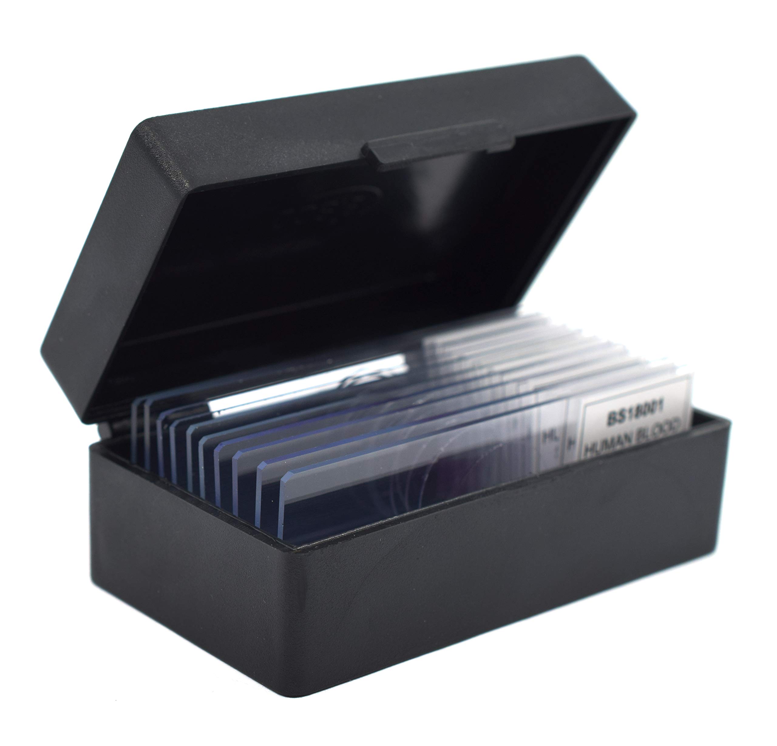 EISCO 10PK Grasshopper Meiosis, Wholemount - Prepared Microscope Slides - Classroom Pack, 10 Slides in Storage Case - Biology & Microscopy