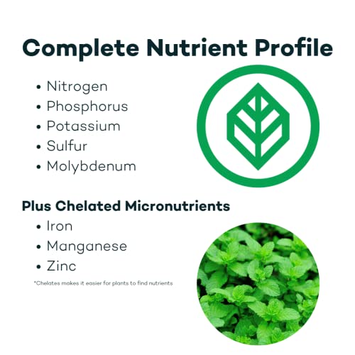 Fitleaf Leaf Vitality All Purpose 20-20-20 (3.52 oz) β Premium Foliar Feed Water Soluble Fertilizer to Spray for All Plants β Promotes Biomass Growth and Vibrant Leaf Color, Complete Plant Nutrition with Amino Acids (3.53 oz)