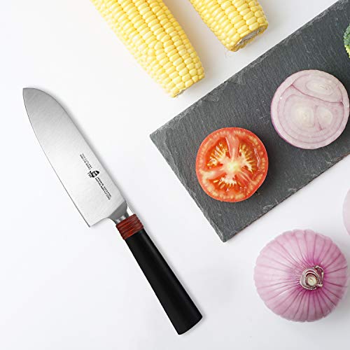 TUO Santoku Knife 5.5 inch Small Kitchen Knife Pro Asian Chef Knife Cooking Knife for Vegetable Fruit and Meat, AUS-8 Stainless Steel with Comfortable Handle, Gift Box Ring Lite Series