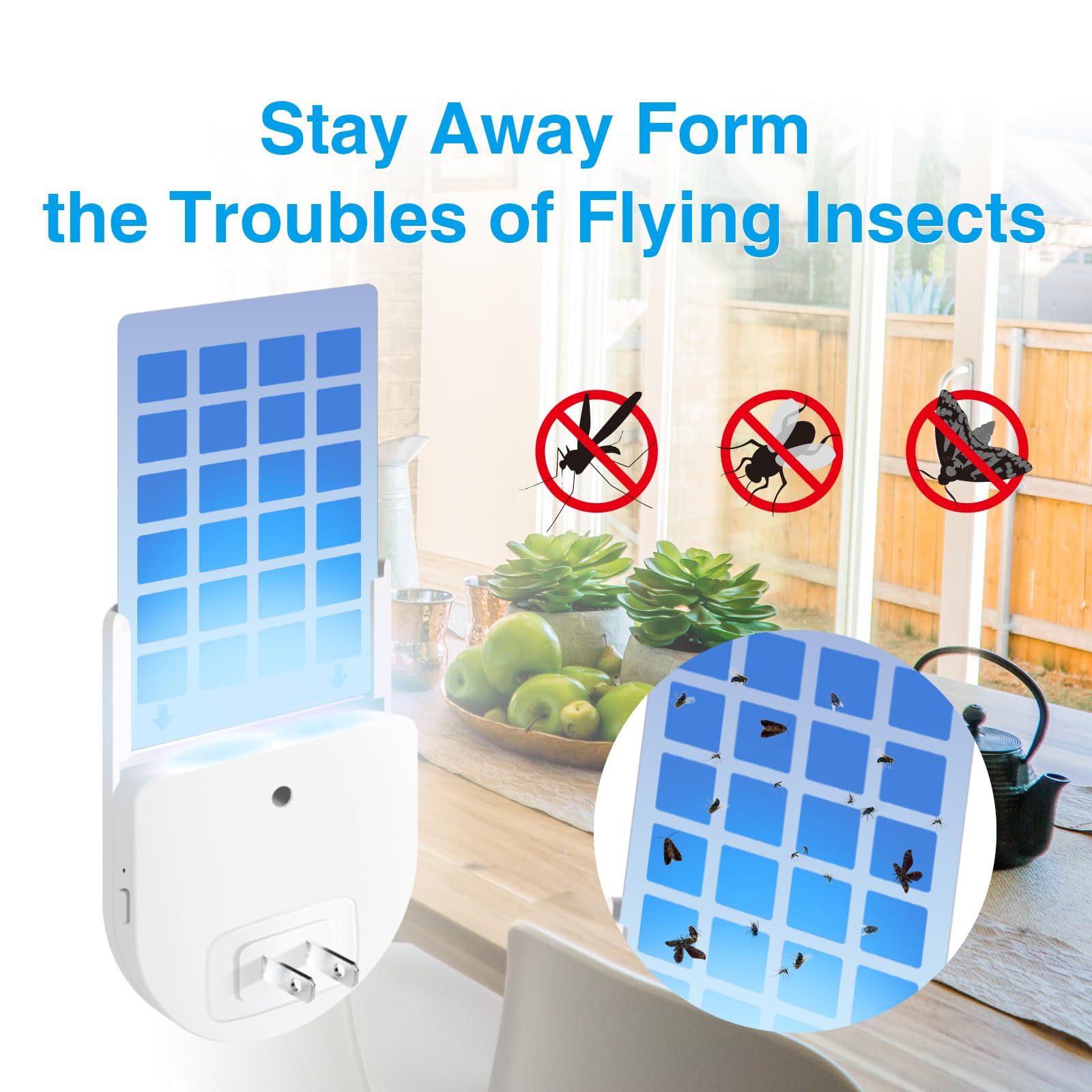 2 Pack Flying Trap Indoor, Fruit Fly Traps for Indoors with 12 Glue Cards, Safe and Effective Gnat Traps for House Indoor, Fruit Fly Trap, Indoor Fly Trap, Fly Traps Indoor for Home, Insect Traps