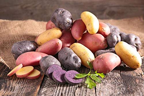Simply Seed - 10 Piece - Fingerling Potato Seed Mix - Non GMO - Naturally Grown - Order Now for Spring Planting
