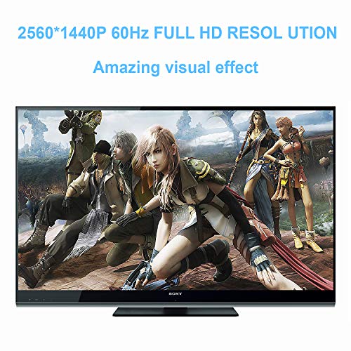 A-technology- DVI Cable 40ft Dual Link 24+1 Male to Male Digital Video Cable Gold Plated with Ferrite Core Support 2560x1600,144Hz for Gaming, DVD, Laptop, HDTV and Projector.