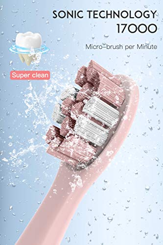 DMH Electric Toothbrush, Sonic Electric Toothbrush Powerful Cleaning, Rechargeable Travel Toothbrush with 4 Brush Heads, 3 Modes, 4 Hour Fast Charge for 60 Days Use, Pink