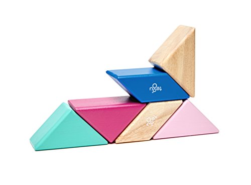 6 Piece Tegu Pocket Pouch Prism Magnetic Wooden Block Set, Blossom