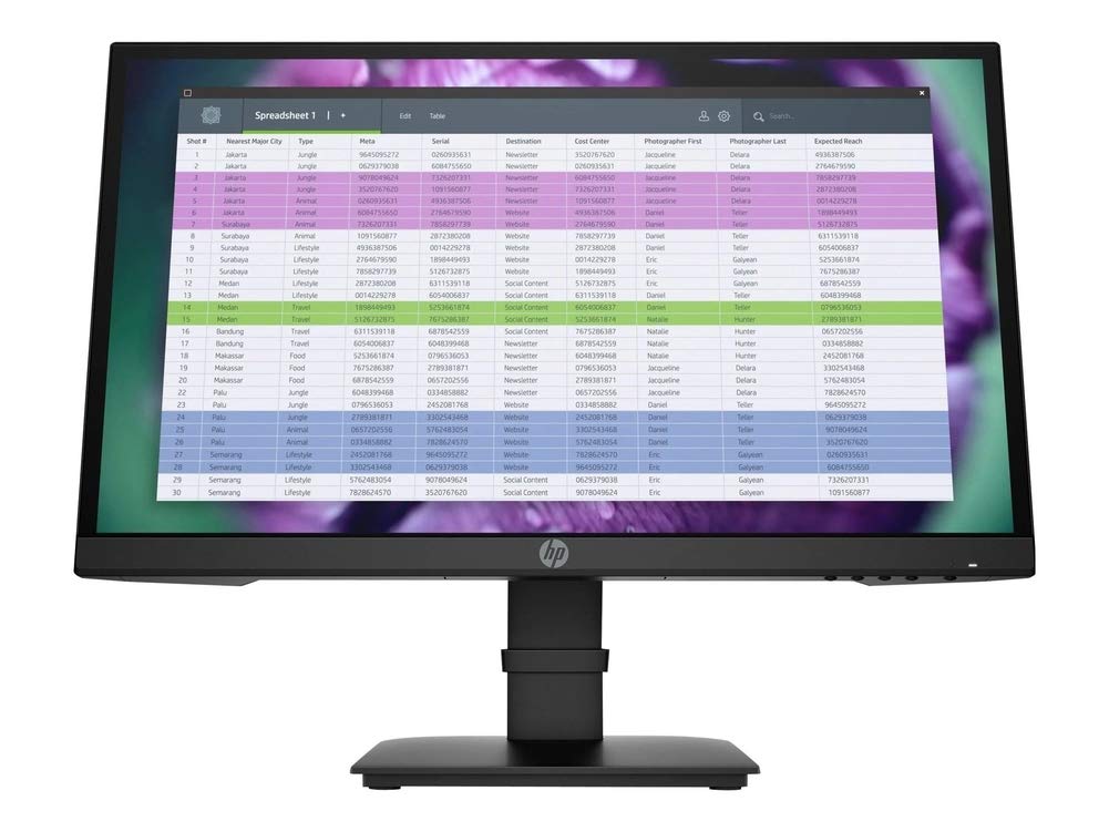 HP Smart Buy P22 G4 21.5IN Display