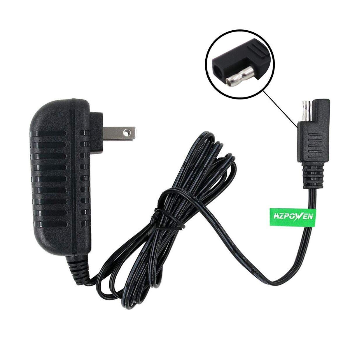 6V Replacement Charger Fit for Disney Quad Pacific Cycle Marvel The Avenger Good Dinosaur Princess Fairies Minnie Mouse Frozen CAR McQueen ATV 6V Battery Ride ON Walmart Target Toy R US