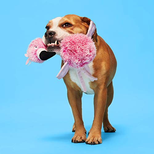 Barkbox Dog Rope Toys - Durable Tug Toys for Chewers, Puppy Teething, and Small, Medium, and Large Dogs | Bert of Paradise