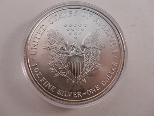 1996 American Eagle not perfect condition Dollar Nearly Mint State