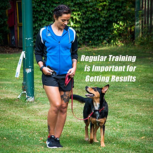 BarxBuddy Anti Barking Control Device (The Original Bark Training Tool) Ultrasonic Sound with LED Lights and Strap - Safe for All Dogs of All Breeds & Ages