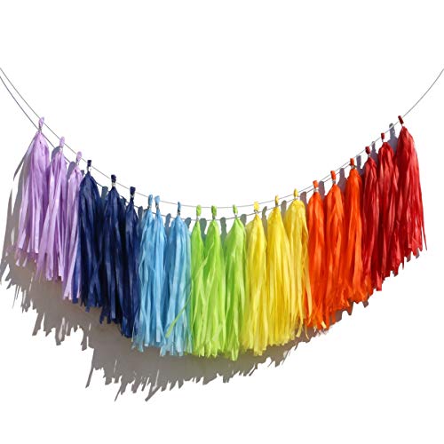 Binpeng 14in 21pcs Rainbow Paper Tassel DIY Hanging paper decorations Party Garland Decor for Party Decorations Wedding,Festival,Baby Shower Decoration 21PCS (Rainbow Tassels 7 Colors 21 PCS)
