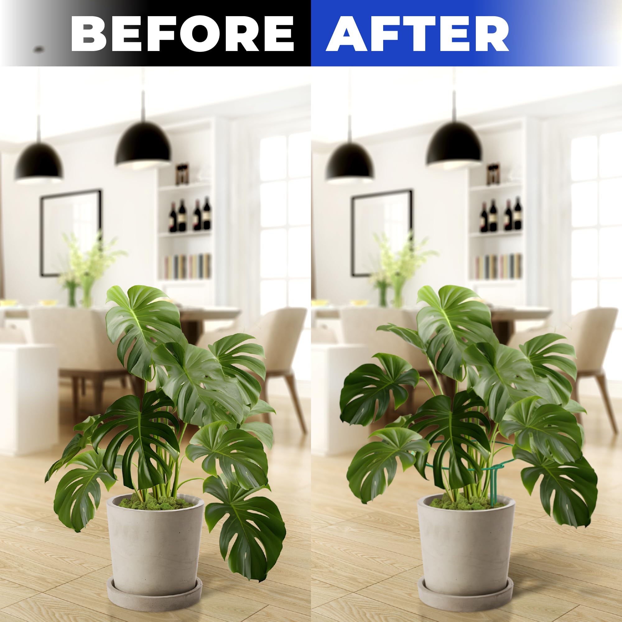 12 Pack Tall Snake Plant Support Stakes β 10" W x 24" H Half Round Peony Cages and Supports for Indoor and Outdoor Plants β Plant Cage Ring Support for Flower - Peony, Tomato, Hydrangea, Rose Bush