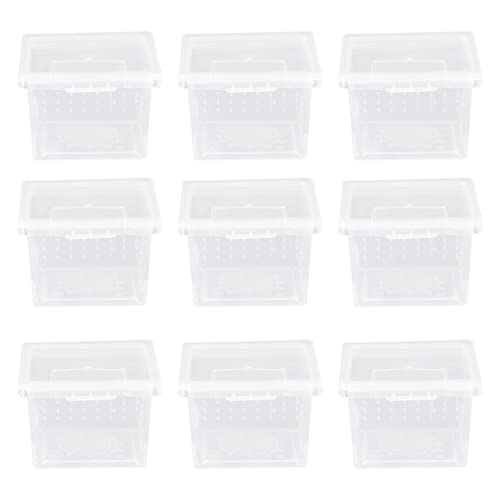 1Pc Reptile Terrarium, Tarantula Enclosure Reptile Tank Reptile Enclosure Critter Keeper Jumping Spider Enclosure Snail Habitat Reptile Terrarium Feeding Box for Reptiles