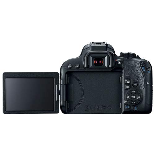 Canon 800D / Rebel T7i DSLR 18-55mm STM Lens Bundle - Telephoto & Wide Angle Lens + Filter Kit + Tripod + Flash - International Version