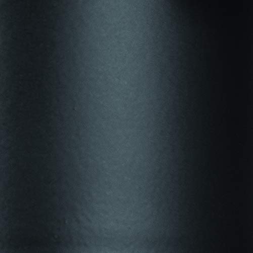 Globe Electric 44633 Parker 1-Light Outdoor Indoor Wall Sconce, Matte Black, Clear Glass Shade