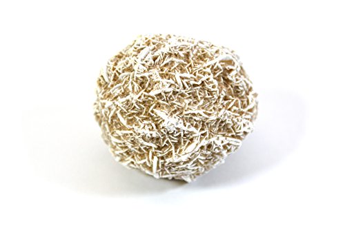 2" Desert Rose Specimen (Selenite), Single Piece