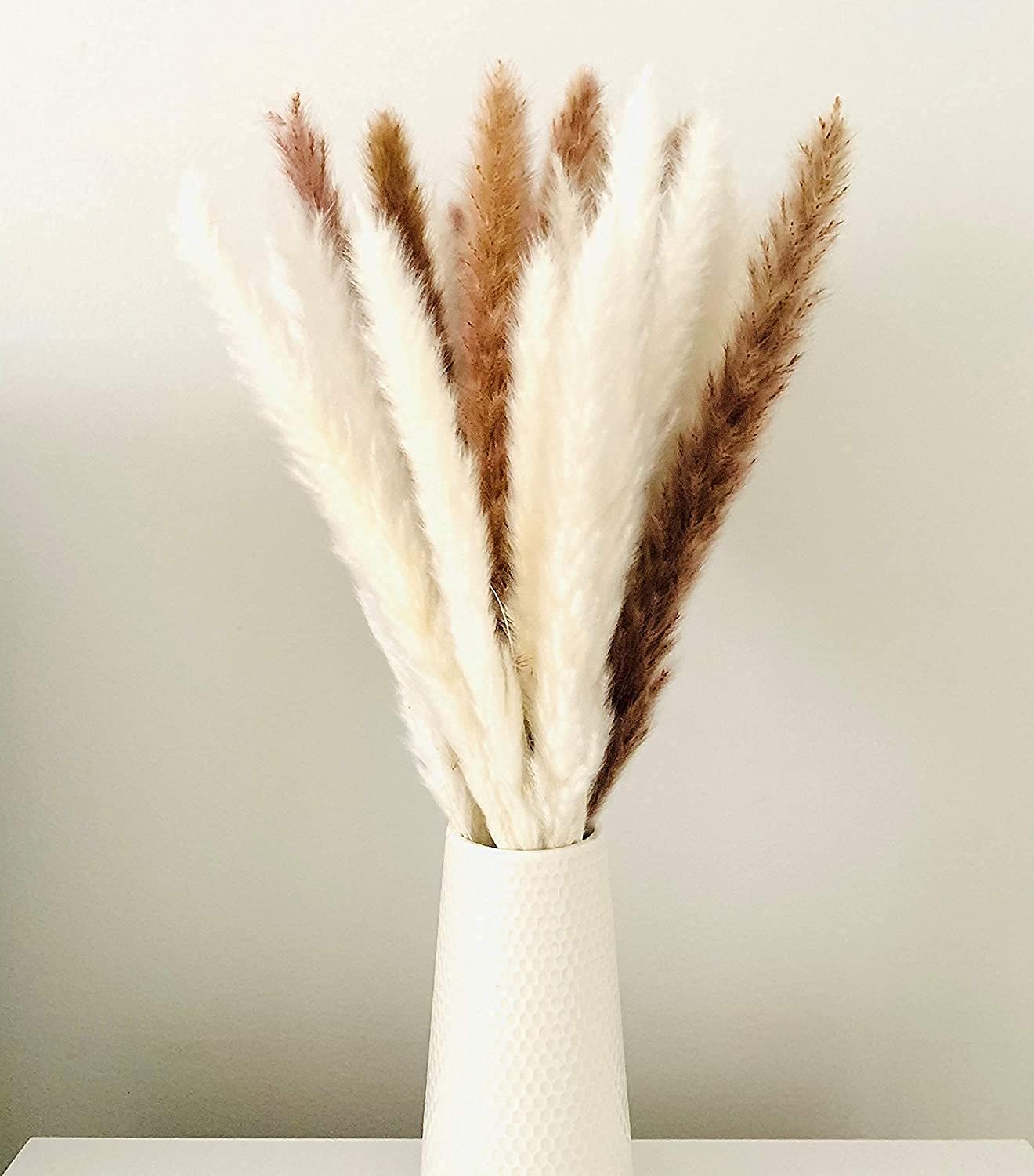 30 Pcs White Pampas Grass ,17 inch/45 cm Natural Dried Pampas Grass Branches Decor for Home Kitchen Garden Party Photographing Flower Arrangement Vase Decor(White