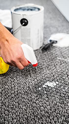 Goof Off FG910 Paint Remover Carpet Cleaner Solution β, 12 oz. Spray