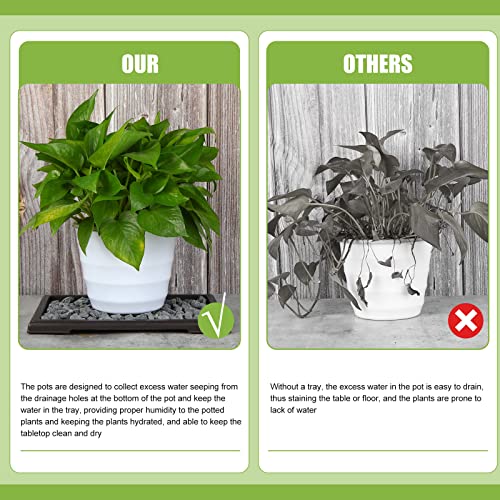 2 Pack Bonsai Humidity Tray 9 Inch Drip Tray Rectangular Plastic Plant Water Catcher Tray Plant Saucers for Indoors and Outdoors Cactus, Succulents, Bonsai Tree, Houseplants Drainage and Moisture