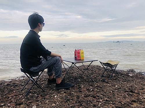AnYoker Camping Chair, Portable Folding Chair, Beach Chair, Lightweight Hiking Chair,Compact Chair(Black/2pack)
