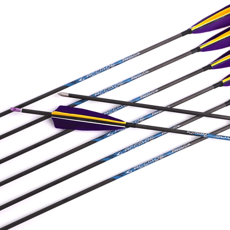 18pc 32inch Pure Carbon Arrows 4"Turkey Feather ID4.2 Spine700 Carbon Arrows Target Practice Arrow for Compound Bow Recurve Bow Arrows Hunting Arrow Replaceable Arrowhead Adult Youth Archery Shooting