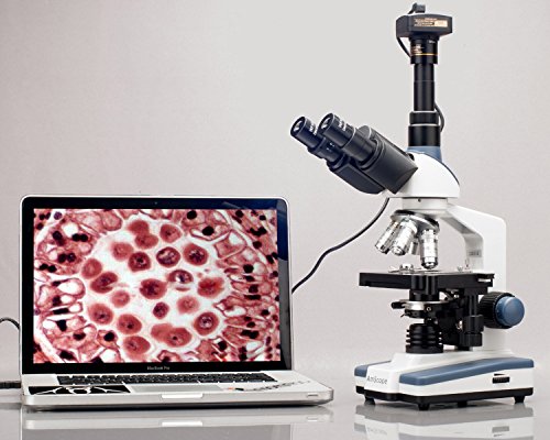 AmScope T120C Professional Siedentopf Trinocular Compound Microscope, 40X-2500X Magnification, WF10x and WF25x Eyepieces, Brightfield, LED Illumination, Abbe Condenser with Iris Diaphragm, Double-Layer Mechanical Stage, 100-240VAC
