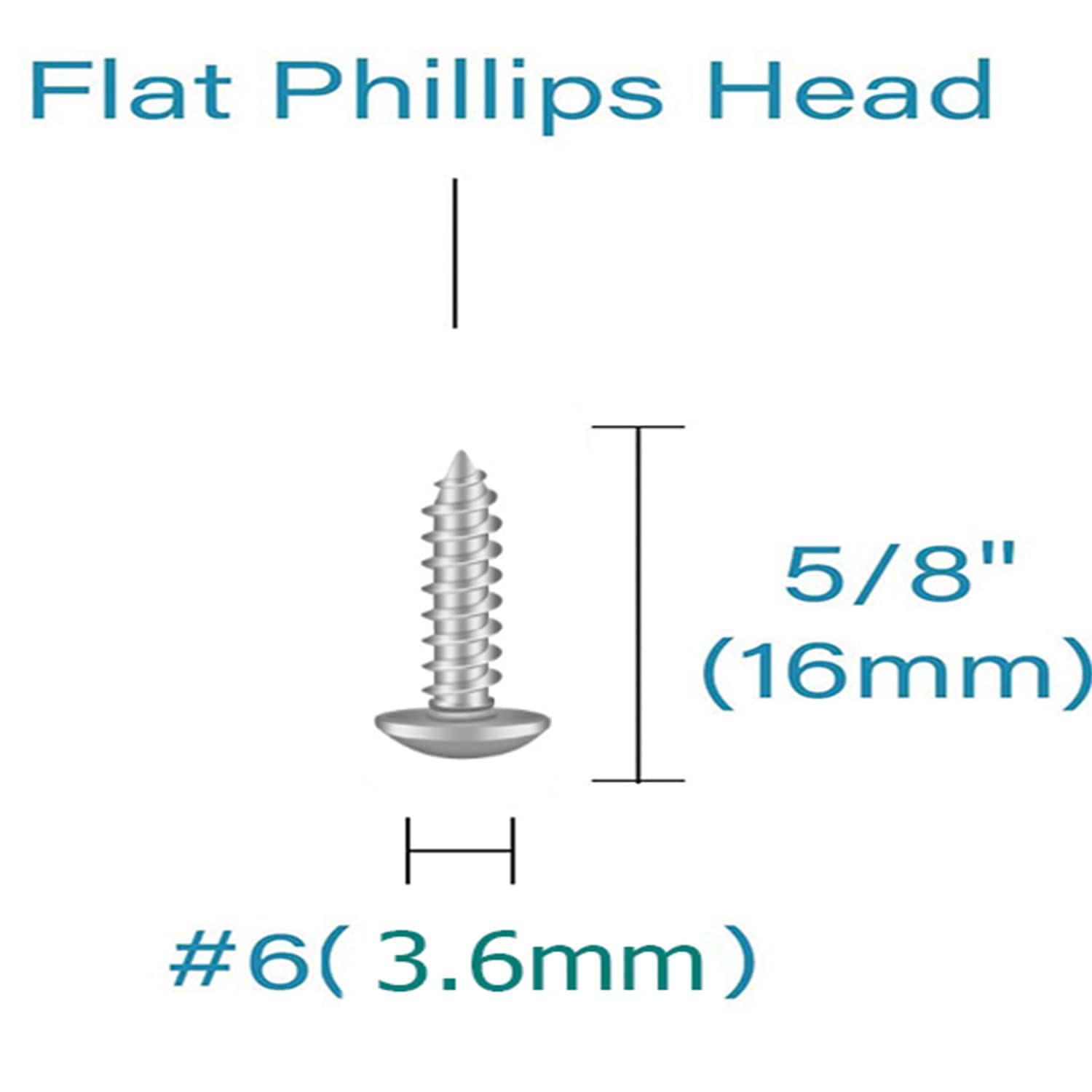 100pcs #6 x 5/8 Wood Screws Truss Head Phillips 304 Stainless Steel Self Tapping Screws
