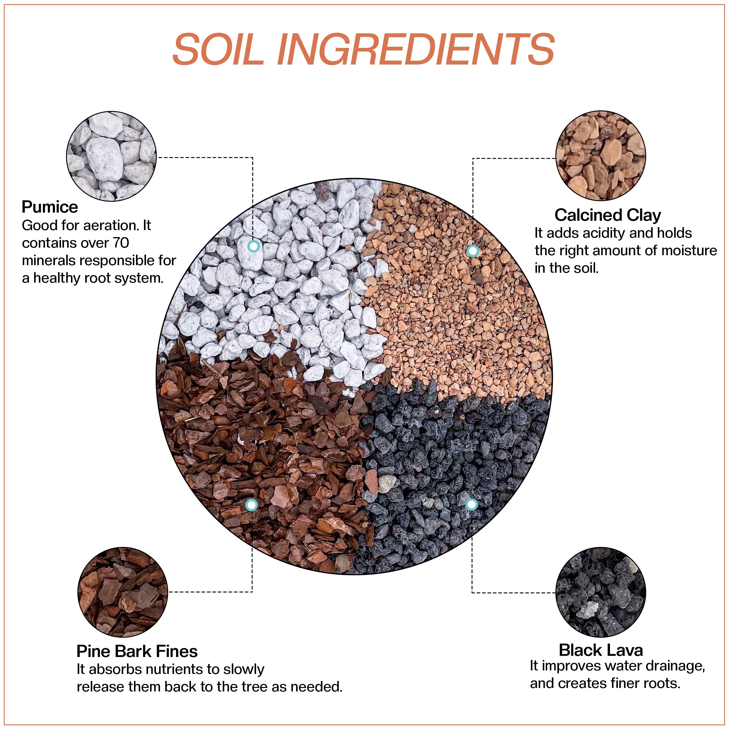 Bonsai Soil All Purpose Mix | Fast Draining Pre Blend Plant | Pumice, Lava, Calcined Clay and Pine Bark β Potting Pre Mixed Bonsai Plant Soil Mixture by The Bonsai Supply (2 Quart Bag)