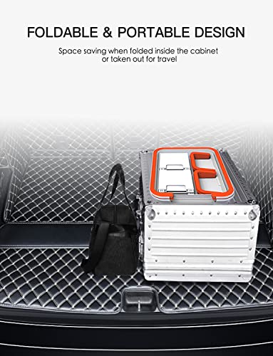 2 Pack Collapsible Kitten Litter Box, CasaTimo Foldable Open Kitty Litter Box for Medium-Sized Cats, Portable Multi-Use Litter Pan for Travel, Assembled to Covered Cat Toilet, Standard Size