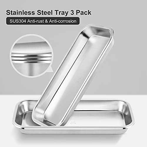 Annhua 304 Stainless Steel Lab Tray 3 Pack Surgical Instrument Trays 8.86" x 4.7" x 0.8", Lab Tray Small for Laboratory, Tattoo Station, Bathroom Organizer