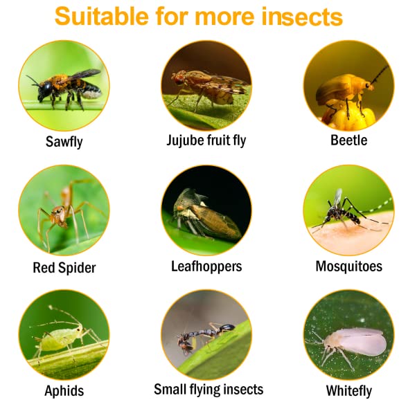 Dwcom 20PCS Sticky Fly Strips, Fly Paper Roll Hanging, Fly Tape Trap Ribbon, Gnat Mosquito Catcher Killer Indoor&Outdoor