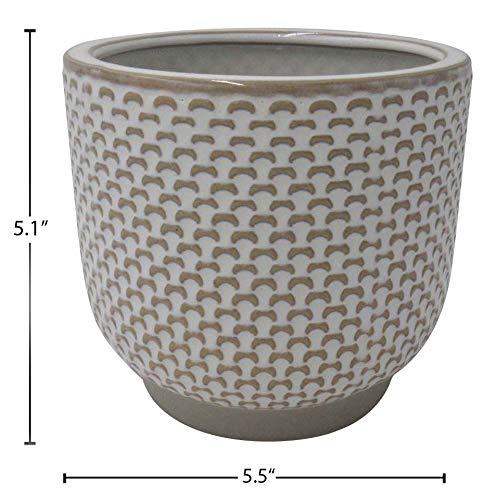 Amazon Brand β Stone & Beam Textured Stoneware Planter, 5.1"H, Ivory