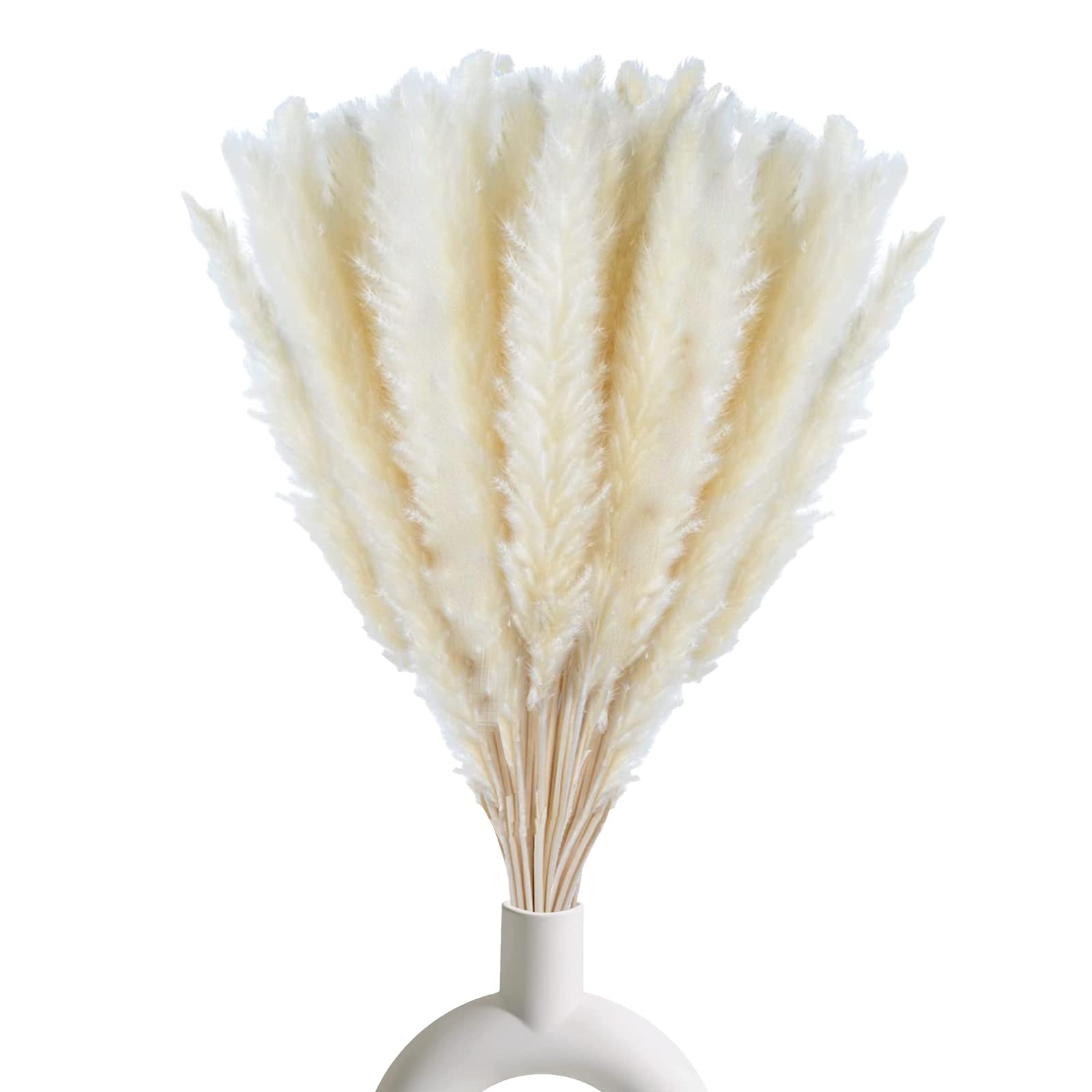 30 Pcs White Pampas Grass ,17 inch/45 cm Natural Dried Pampas Grass Branches Decor for Home Kitchen Garden Party Photographing Flower Arrangement Vase Decor(White