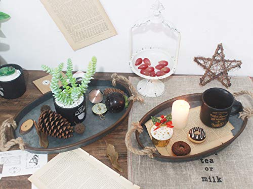 Funerom 13.9X 8.8 inch Galvanized Metal Oval Tray with Rope Handle，Farmhouse Serving Tray.