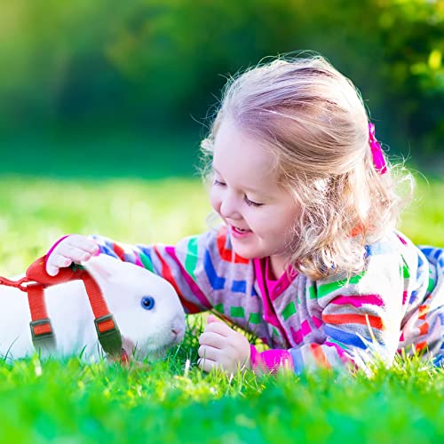 4 Sets Adjustable Bunny Rabbit Harness and Leash Set Small Pet Cute Vest Harness Leash Ferret Harness Guinea Pig Harness Ferret Leash with Decorations for Bunny Kitten Puppy, Small Pets (Fruit)