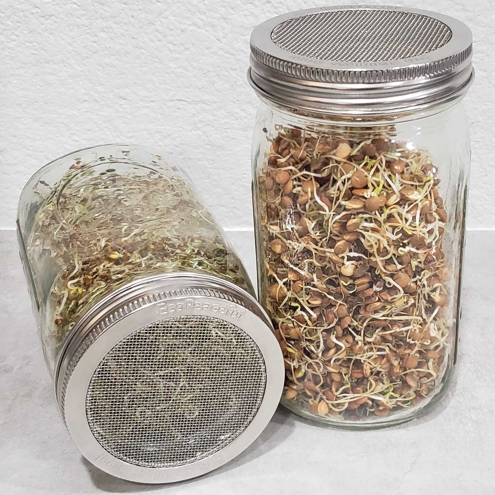 2 Pack Mason Jar Sprouting Lids - 316 Surgical Stainless Steel Sprouting Lids for Wide Mouth Mason Jars - Screen Mesh Strainer, Sprouter Kit for Alfalfa & Broccoli Seeds - Rust-Proof, Dishwasher Safe