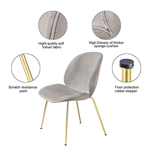 GIA Contemporary Dining Chair with Velvet Upholstery, Qty of 2, Light Gray
