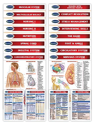 Permacharts Nursing, BSN, Registered Nursing Year 1 Curriculum Essential Quick Reference Guides - 20 Chart Bundle Medical Nursing Charts Bundle