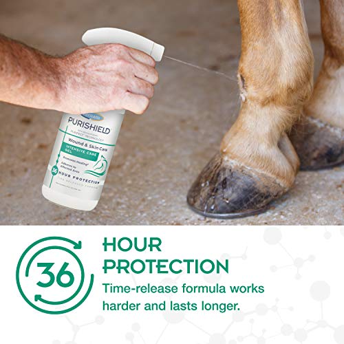Farnam PuriShield Horse Wound Care, Intensive Care Gel Promotes Healing, Long Lasting Relief and Protection 12 Ounces