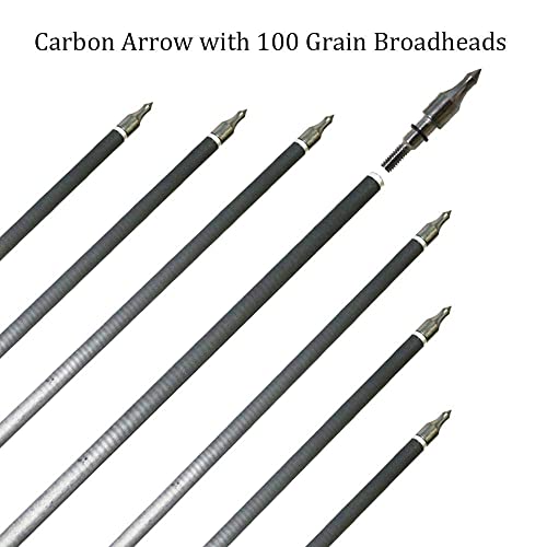 12Pack 30-inch Carbon Arrow with 4" Turkey Feathers, Hunting/Targeting Arrow for Compound Recurve Longbow (Blue)