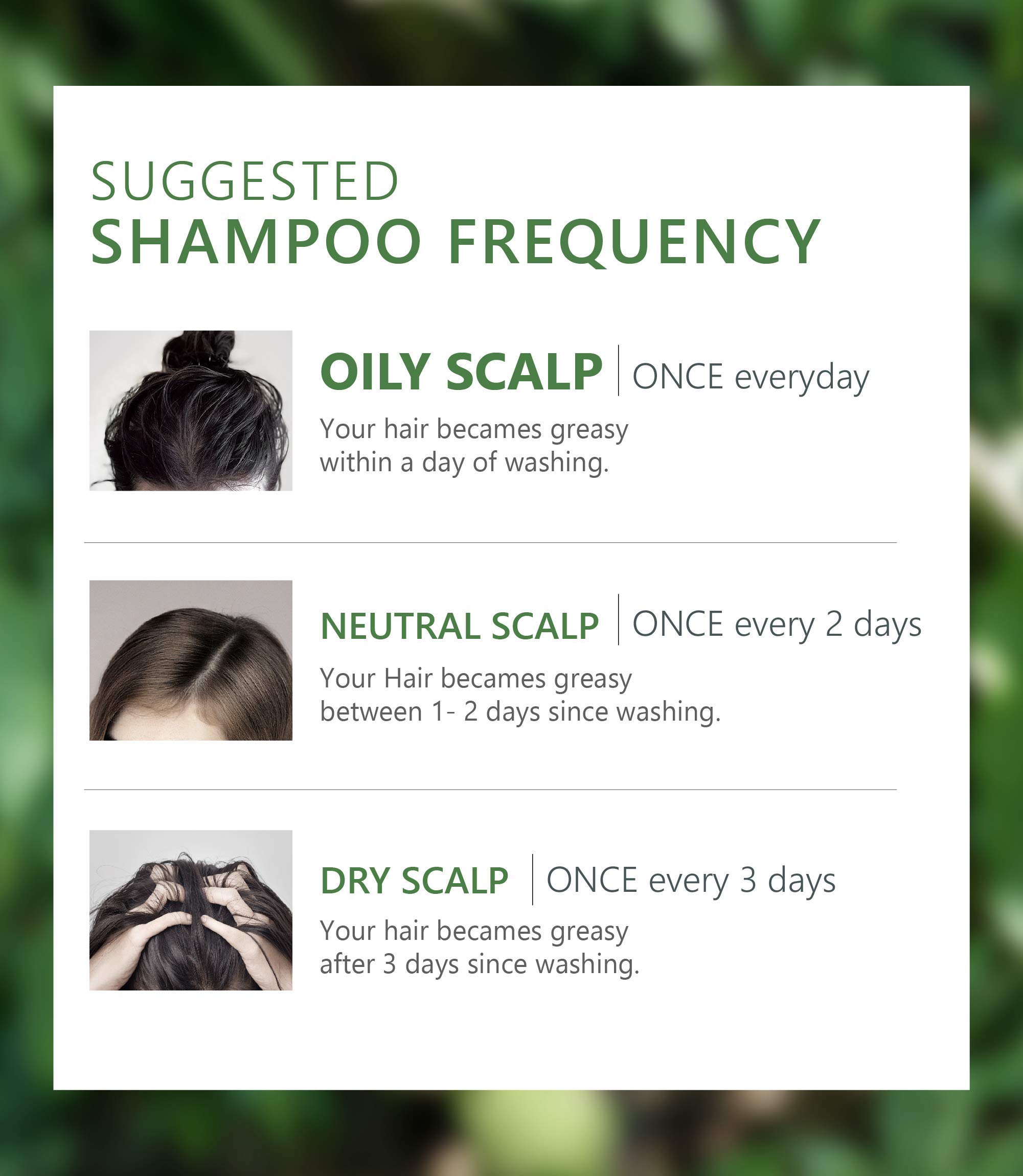 Aromase 5α Intensive Oily Hair Solution Kit (5α Juniper Scalp Purifying Liquid Shampoo 2.8 Fl Oz + 5α Intensive Oily Hair Balancing Essential Shampoo 14 Fl. Oz) for Oily Scalp, Oil Smells
