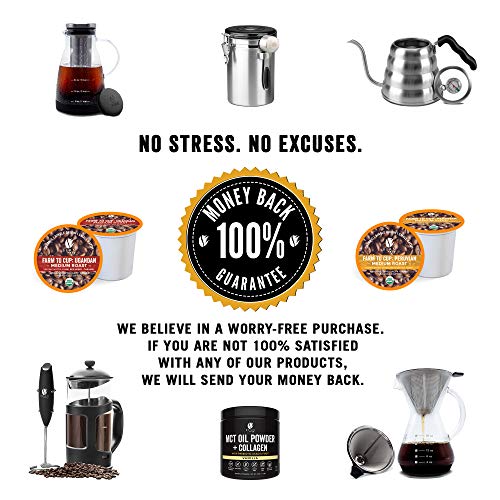 Bean Envy Coffee Canister - 22.5 oz Coffee Storage Container and Organizer w/Stainless Steel Scoop, Date Tracker & Co2-Release Valve - Essential Coffee Accessories, Steel